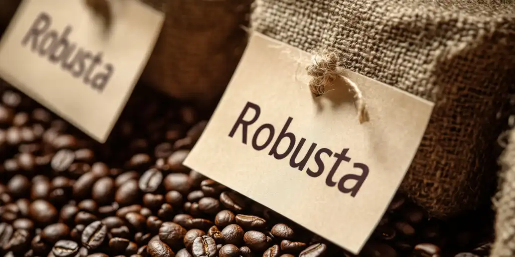 5 Rekomendasi Kopi Robusta dengan Cita Rasa Autentik - Promo & Artikel ...